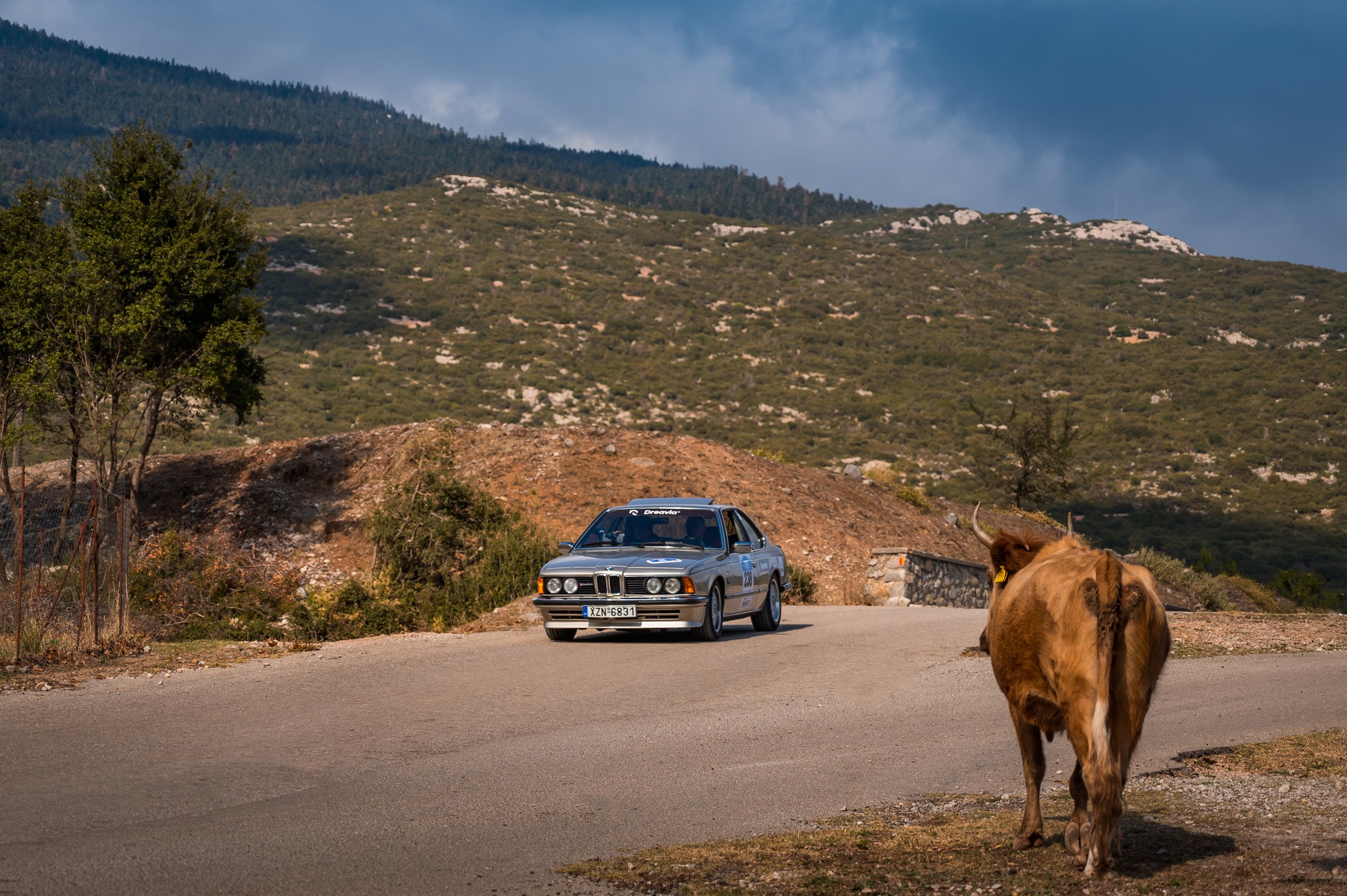 PEMA Historic Acropolis Rally – Regularity 2025: Discovering the ...